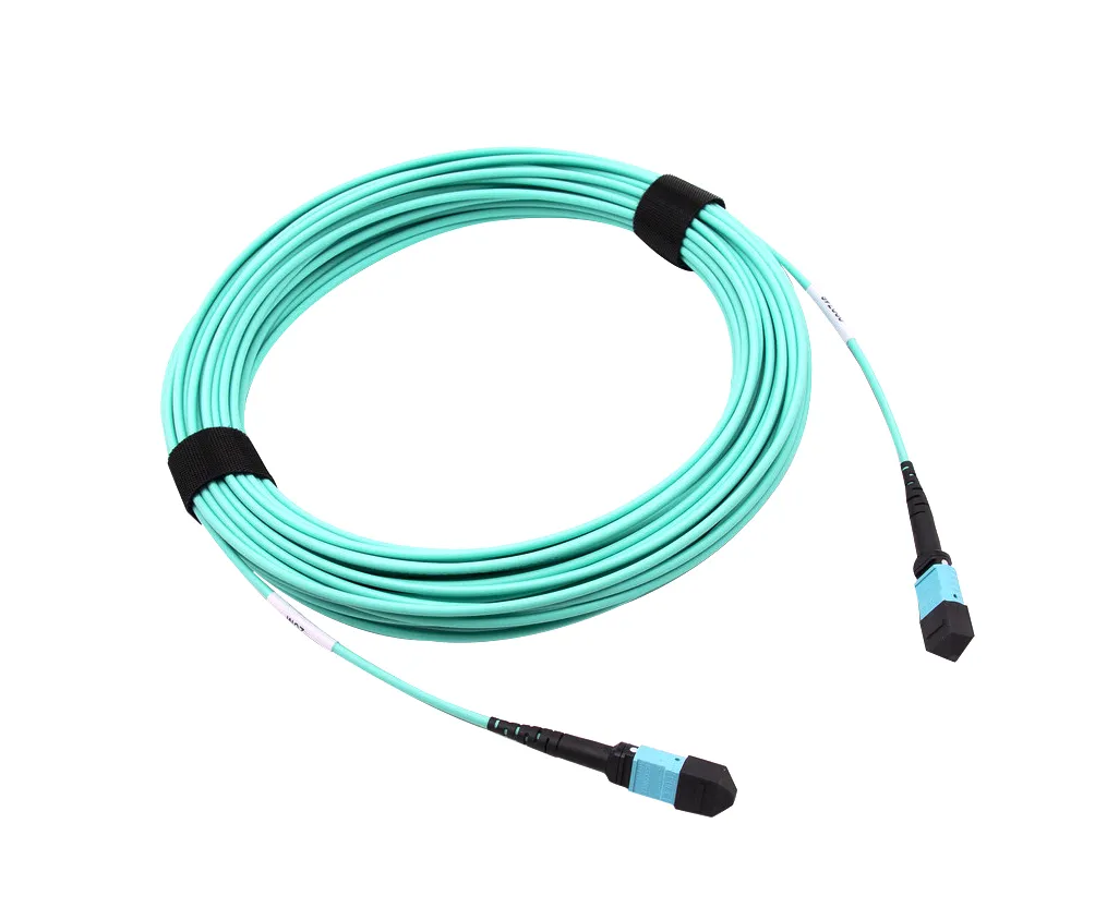 Buy MTP12-FF-M5M - Juniper MTP Female To MTP Female, 12 Fiber, MMF ...